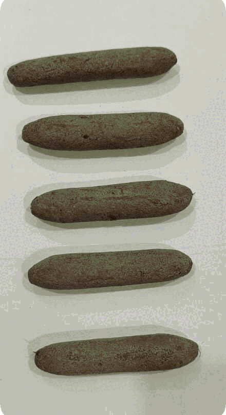 Anushastrams - Agnikarma - Viddhakarma